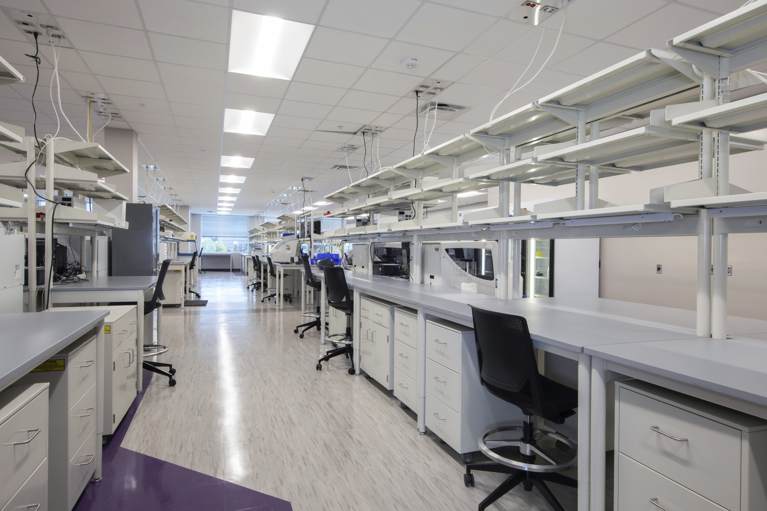 Discovery Life Sciences Global Headquarters Opens in North Alabama - Brasfield & Gorrie